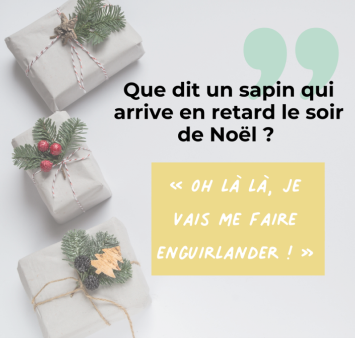 Blagues de Noël – French With Shelley